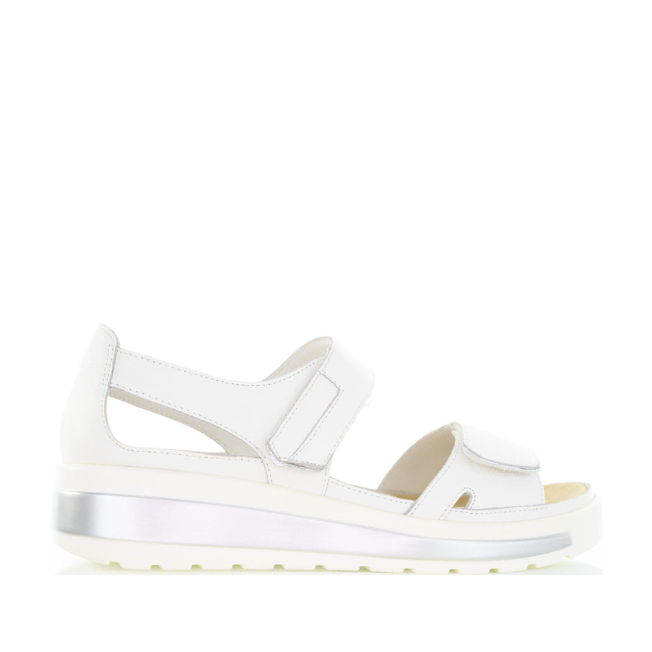 Collective Shoes NZ | Branded Women Shoes Online at Collective Shoes
