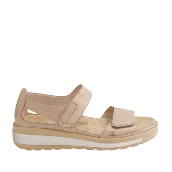 ZIERA GEDD CAFE – Collective Shoes