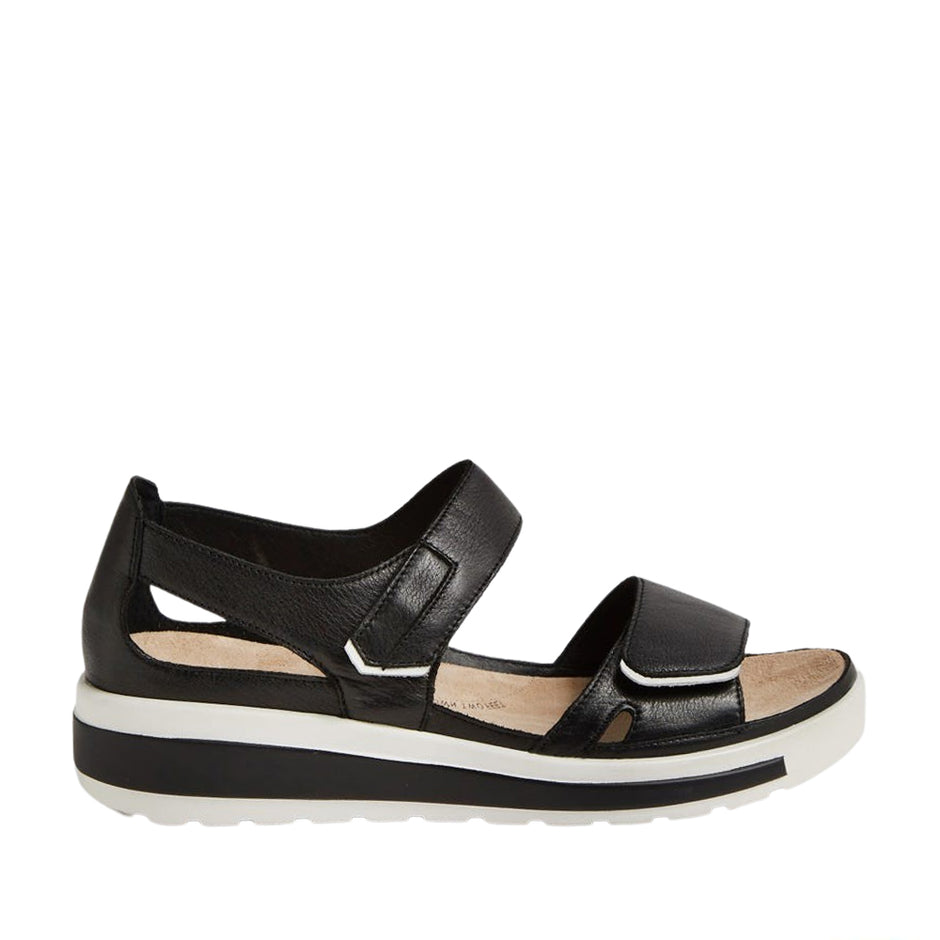 Collective Shoes NZ | Branded Women Shoes Online at Collective Shoes